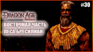 Индаплей: Dragon Age: Origins