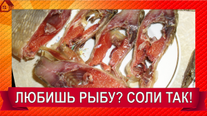 РЫБА И МОРЕПРОДУКТЫ