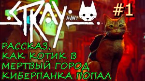 Stray прохождение