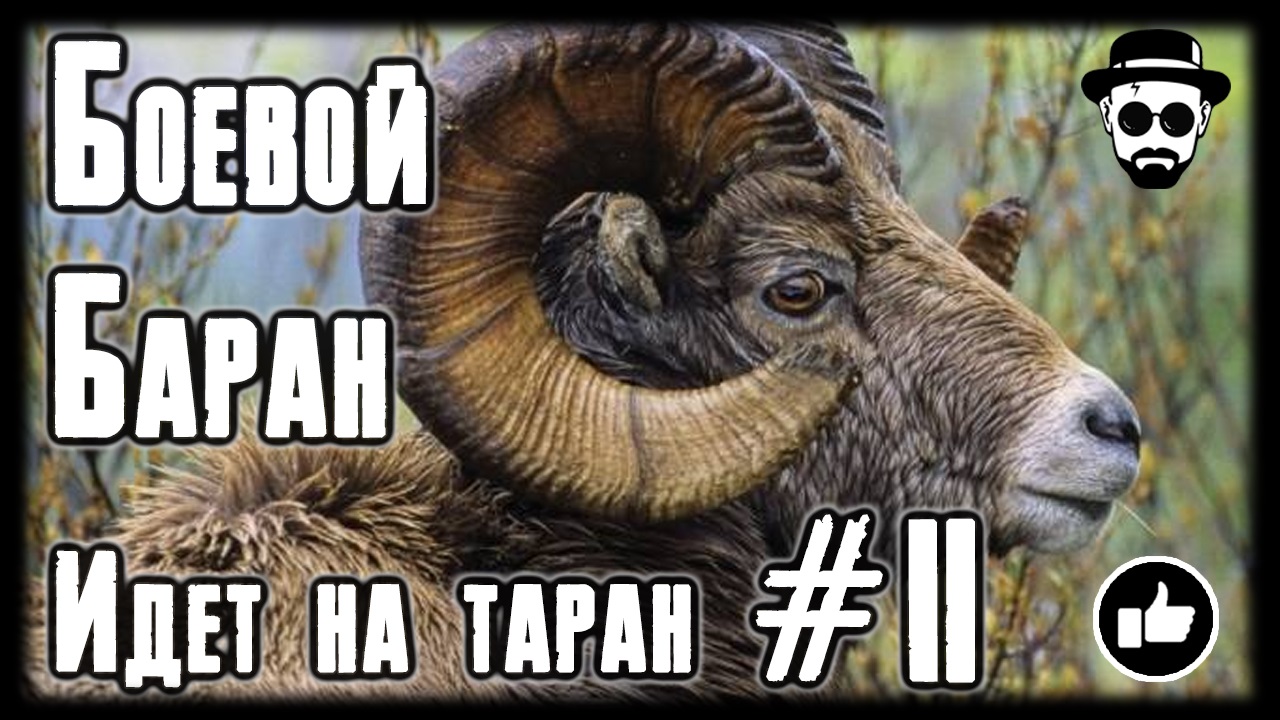 ✅BATTLE RAM/БОЕВОЙ БАРАН