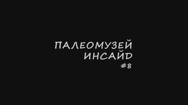 Палеомузей инсайд