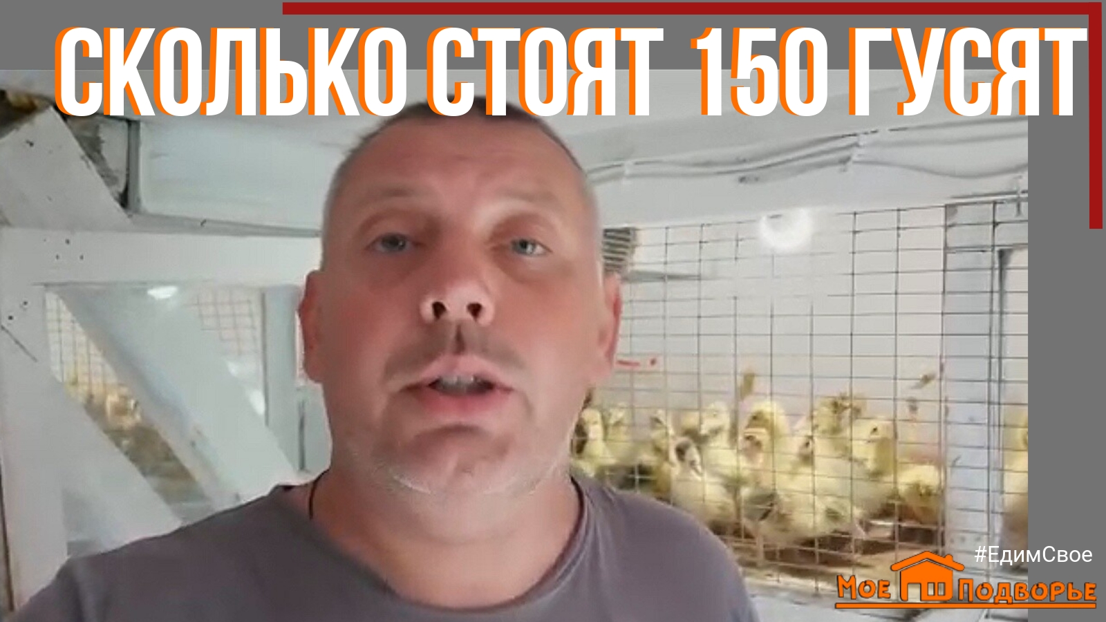 ВСЕ ПРО: КУР, УТОК, ГУСЕЙ, ИНДЮКОВ...