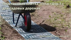 Пластиковые сборные садовые дорожки для дачи