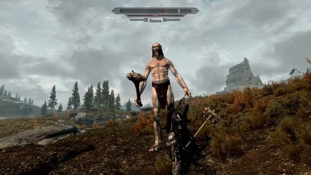 The Elder Scrolls V: Skyrim