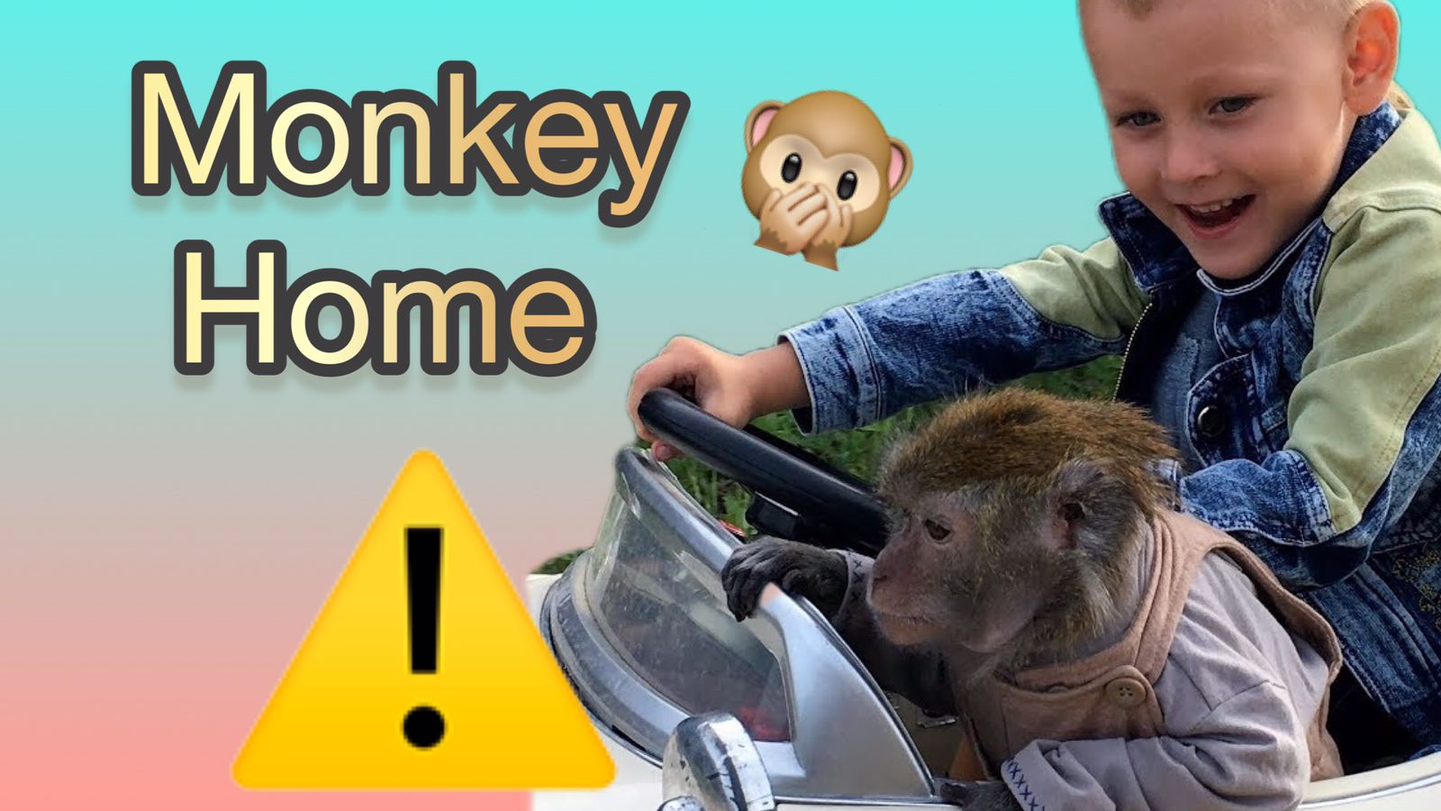 Monkey Home - мини блог – смотреть онлайн все 5 видео от Monkey Home - мини  блог в хорошем качестве на RUTUBE