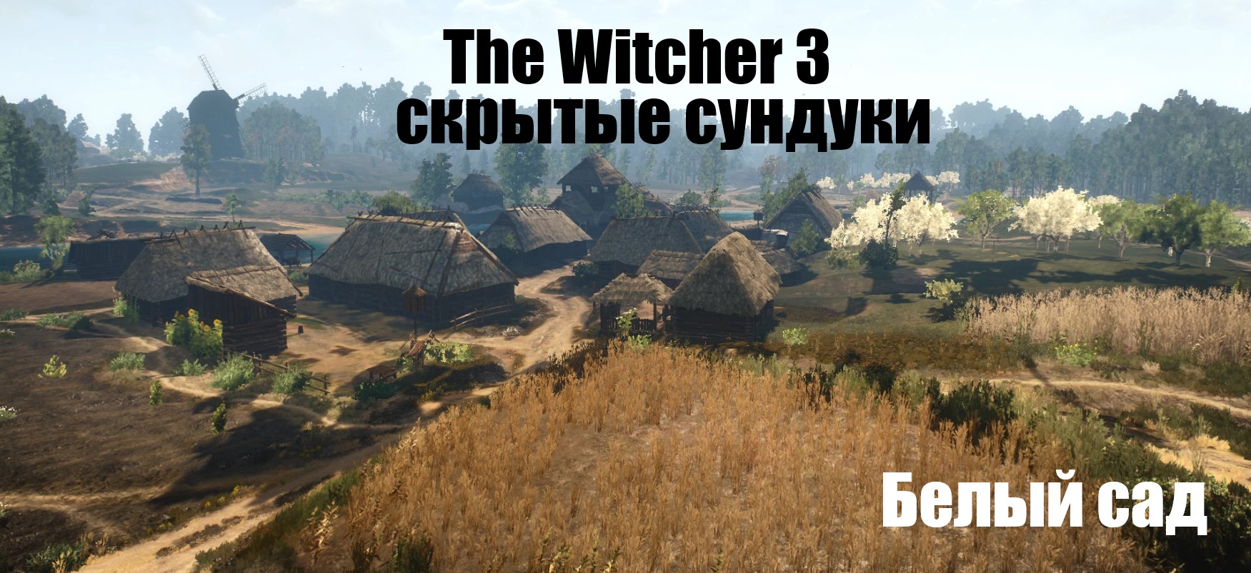 60 fps the witcher 3 фото 49