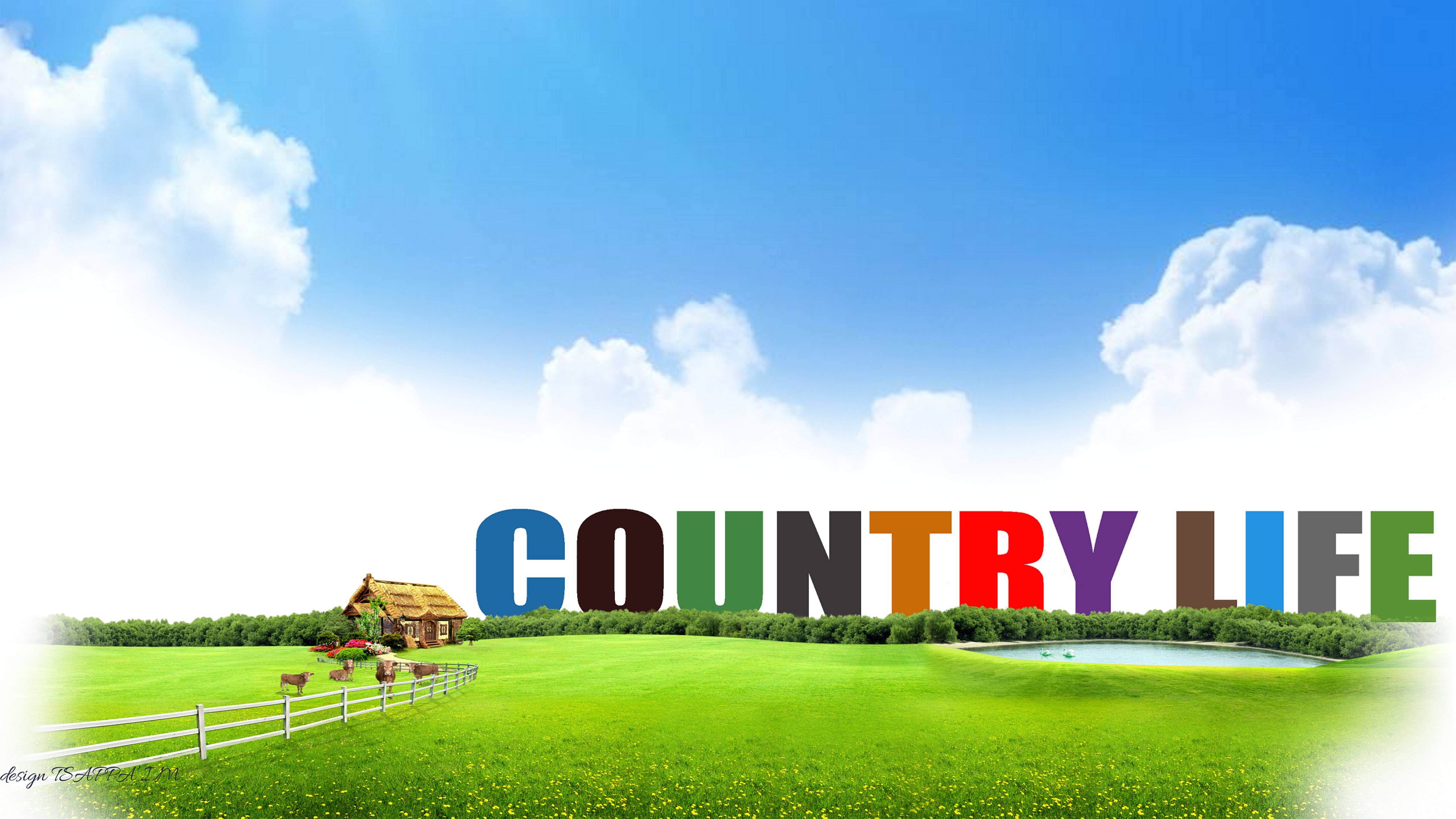 Дома серии COUNTRY LIFE