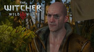 The Witcher 3 - Дикая охота