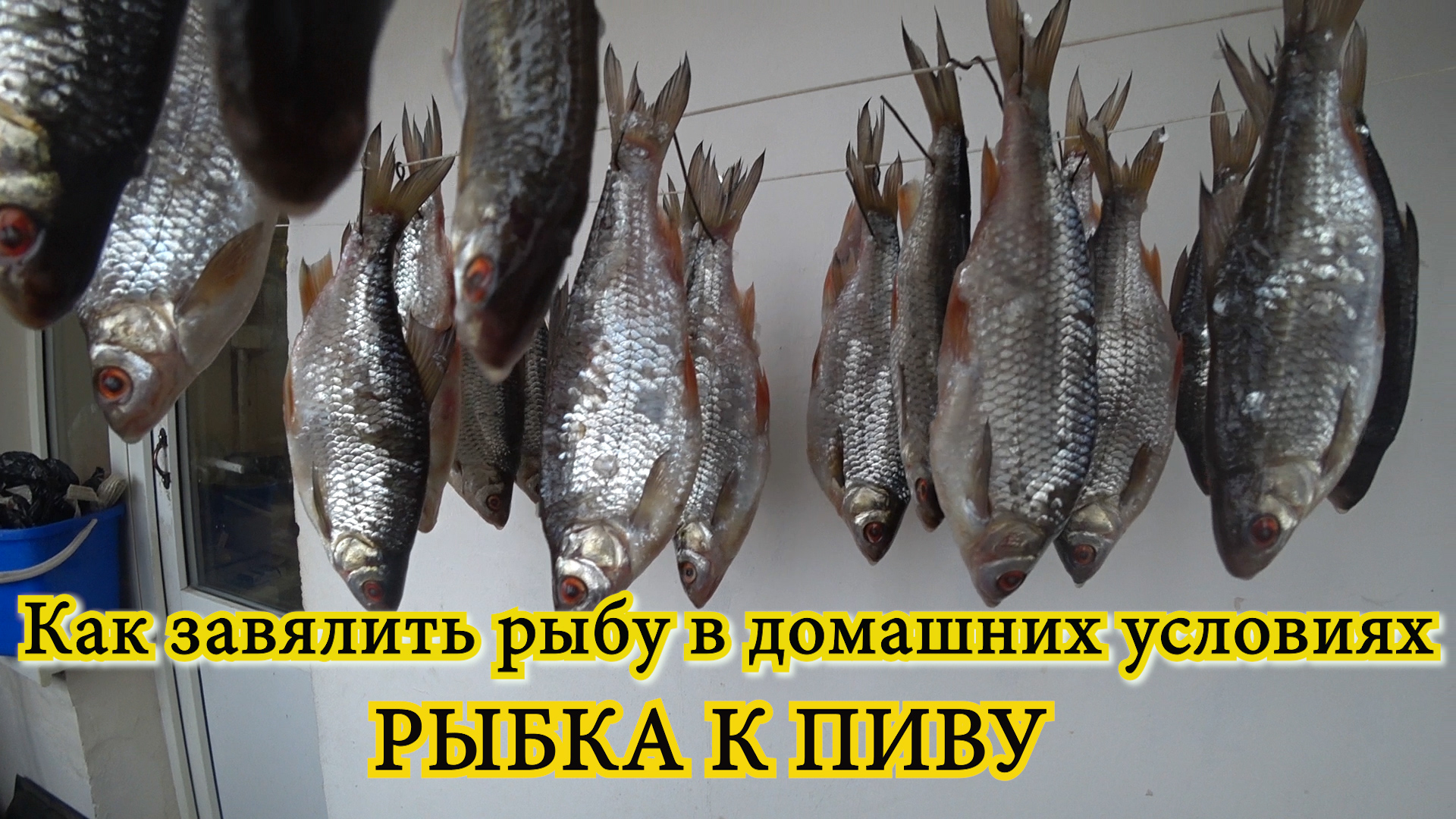 Консервы из рыбы в автоклаве в домашних условиях
