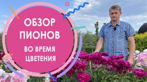 Обзор питомника «Поиск»