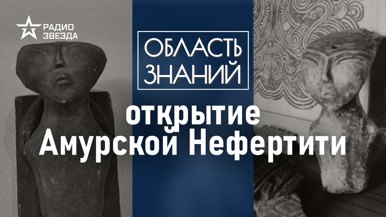 Область знаний. История. Лекции на радио ЗВЕЗДА – смотреть онлайн все 150  видео от Область знаний. История. Лекции на радио ЗВЕЗДА в хорошем качестве  на RUTUBE