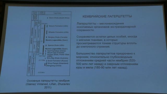 Теория эволюции - Марков Александр Владимирович