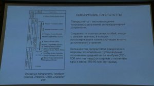 Теория эволюции - Марков Александр Владимирович