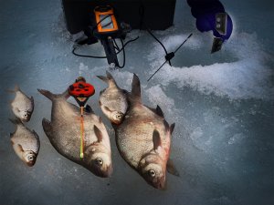 Зимняя рыбалка: снасти не зачехляем