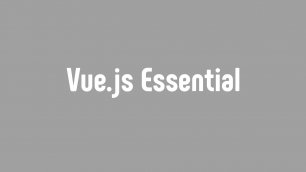 Vue.js Starter и Essential