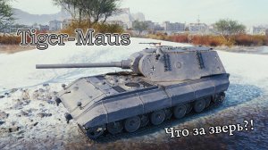 Tiger-Maus | Что за зверь?!