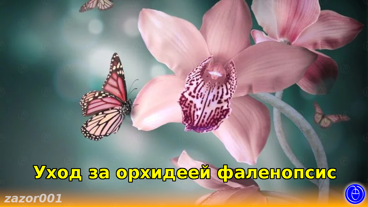 Видео канала, не вошедшие в другие плейлисты – смотреть онлайн все 6 видео  от Видео канала, не вошедшие в другие плейлисты в хорошем качестве на RUTUBE