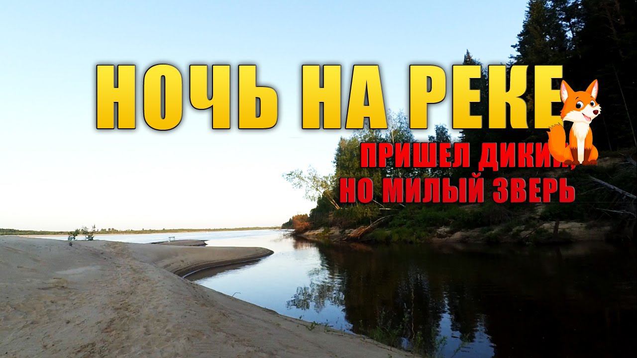 Рыбалка на поплавок