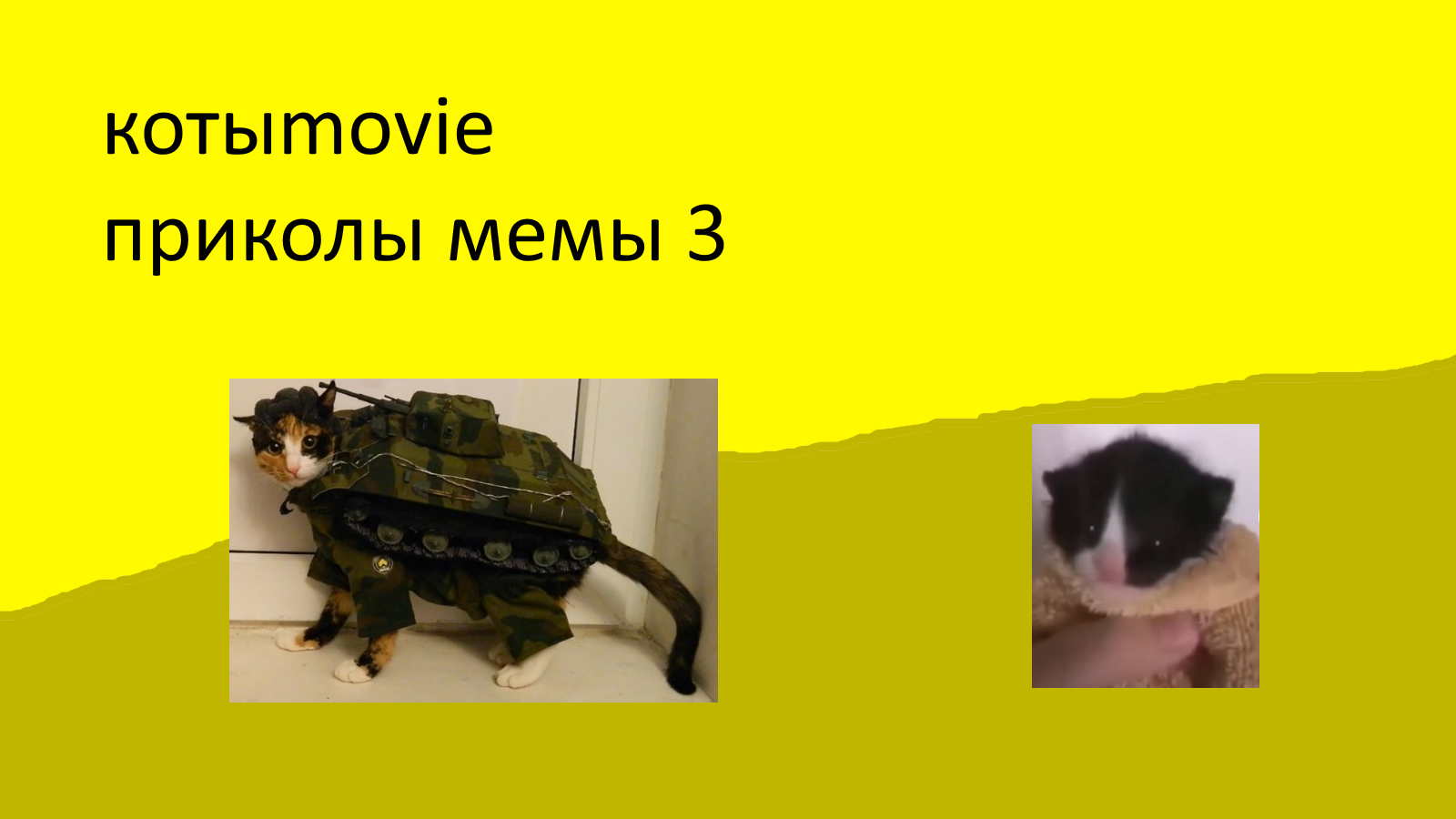 Котыmovie приколы мемы – смотреть онлайн все 3 видео от Котыmovie приколы  мемы в хорошем качестве на RUTUBE