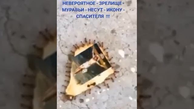 Порно чудеса аллаха видео онлайн: смотреть 22 видео онлайн