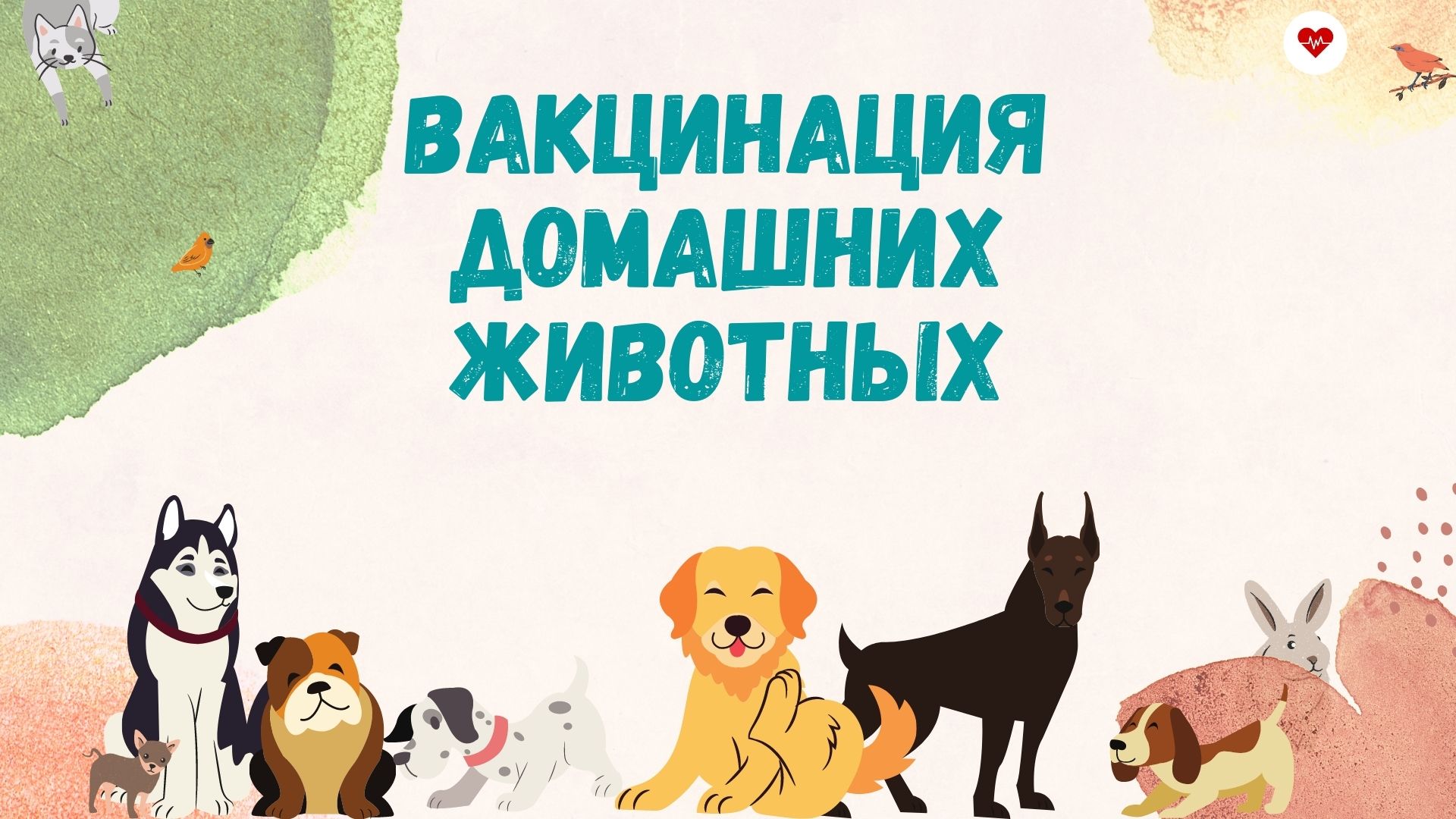 ЗАБОЛЕВАНИЯ. СИМПТОМЫ. ЛЕЧЕНИЕ. ПРОФИЛАКТИКА. – смотреть онлайн все 2 видео  от ЗАБОЛЕВАНИЯ. СИМПТОМЫ. ЛЕЧЕНИЕ. ПРОФИЛАКТИКА. в хорошем качестве на  RUTUBE