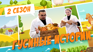 ГУСИНЫЕ ИСТОРИИ