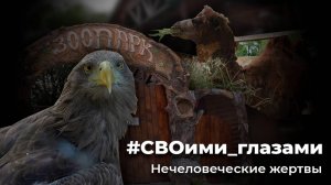 СВОими глазами