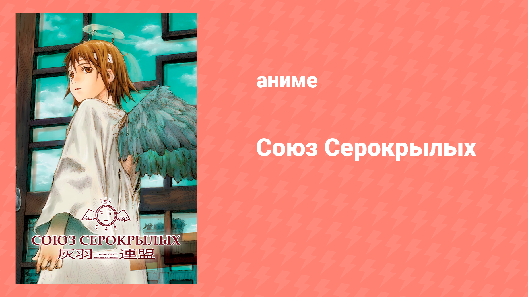 Союз серокрылых (аниме-сериал, 2002)