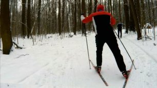 Лыжная тренировка