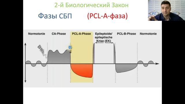 Современная психосоматика