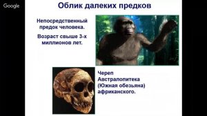 Всеобщая история 5 класс