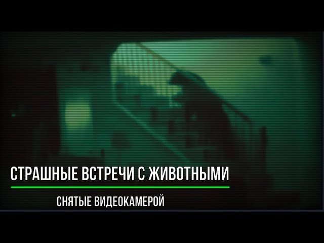 Жуть порно - Релевантные порно видео (7486 видео)