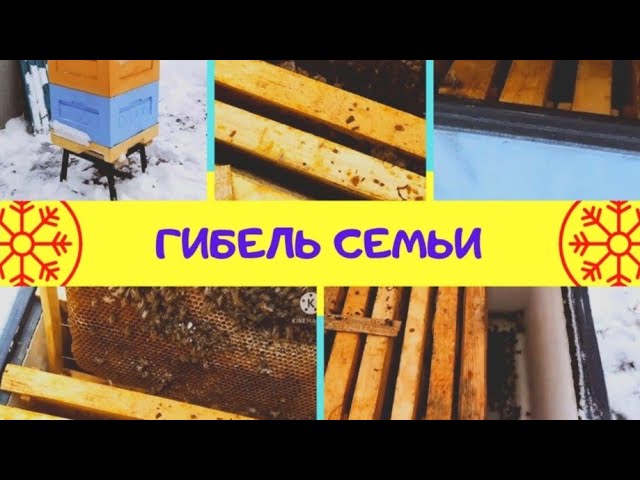 Чем и как обогреть омшаник?