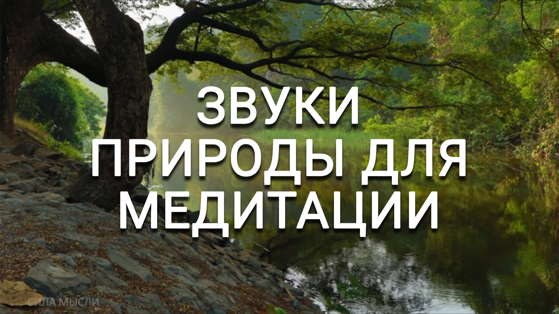 Музыка для медитации - звуки природы – смотреть онлайн все 1 видео от  Музыка для медитации - звуки природы в хорошем качестве на RUTUBE