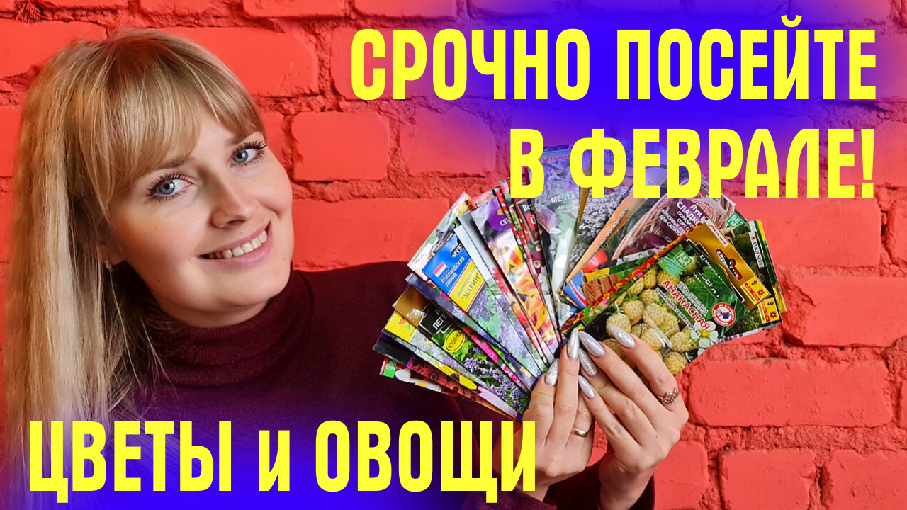 Однолетние цветы. Самые красивые и неприхотливые – смотреть онлайн все 1  видео от Однолетние цветы. Самые красивые и неприхотливые в хорошем  качестве на RUTUBE