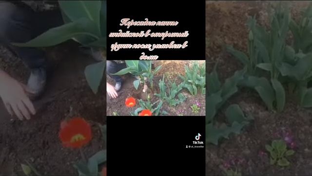 Порно экзотические фильмы онлайн. Лучшее секс видео бесплатно.