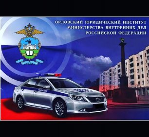 ВУЗы Министерства внутренних дел РФ