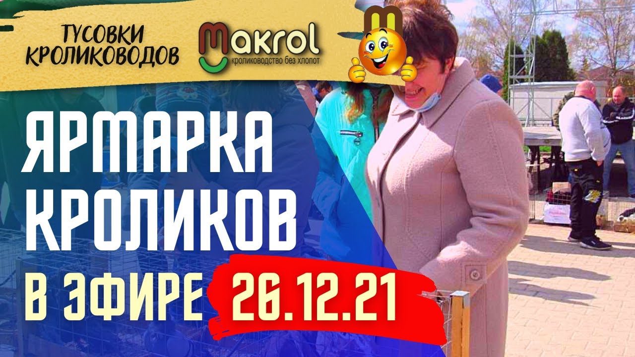 ВЫСТАВКИ ЯРМАРКИ кроликов – смотреть онлайн все 5 видео от ВЫСТАВКИ ЯРМАРКИ  кроликов в хорошем качестве на RUTUBE