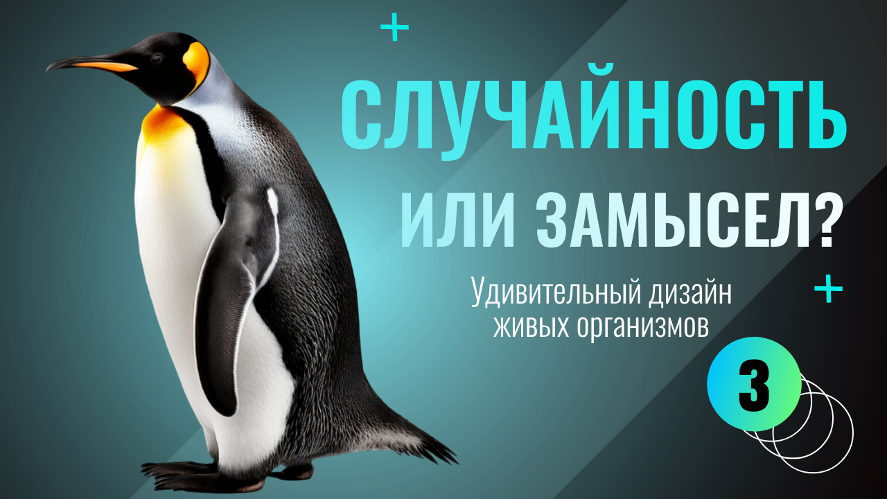 Случайность или Замысел? – смотреть онлайн все 3 видео от Случайность или  Замысел? в хорошем качестве на RUTUBE