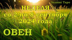 Неделя со 2 по 8 сентября 2024 года