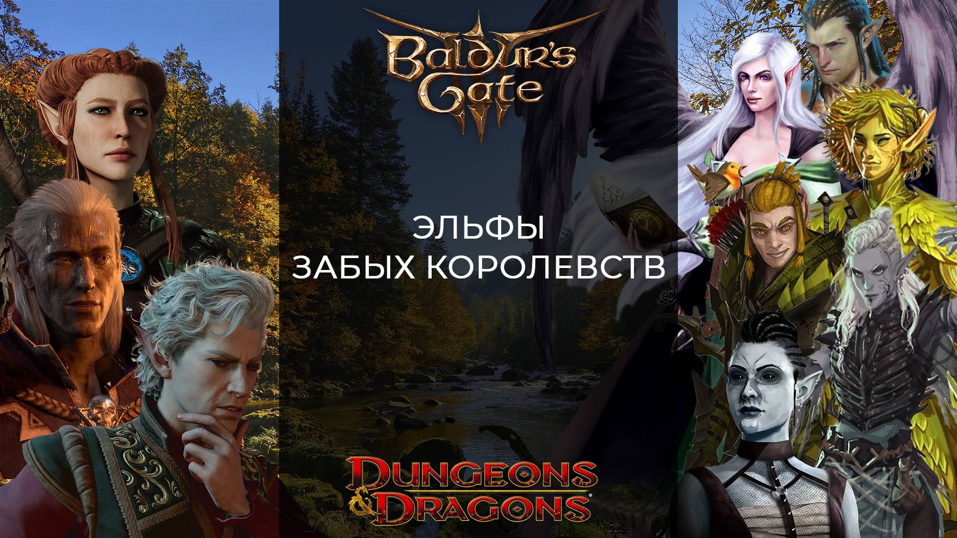 Dnd приложение