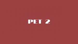 Программа PET 2