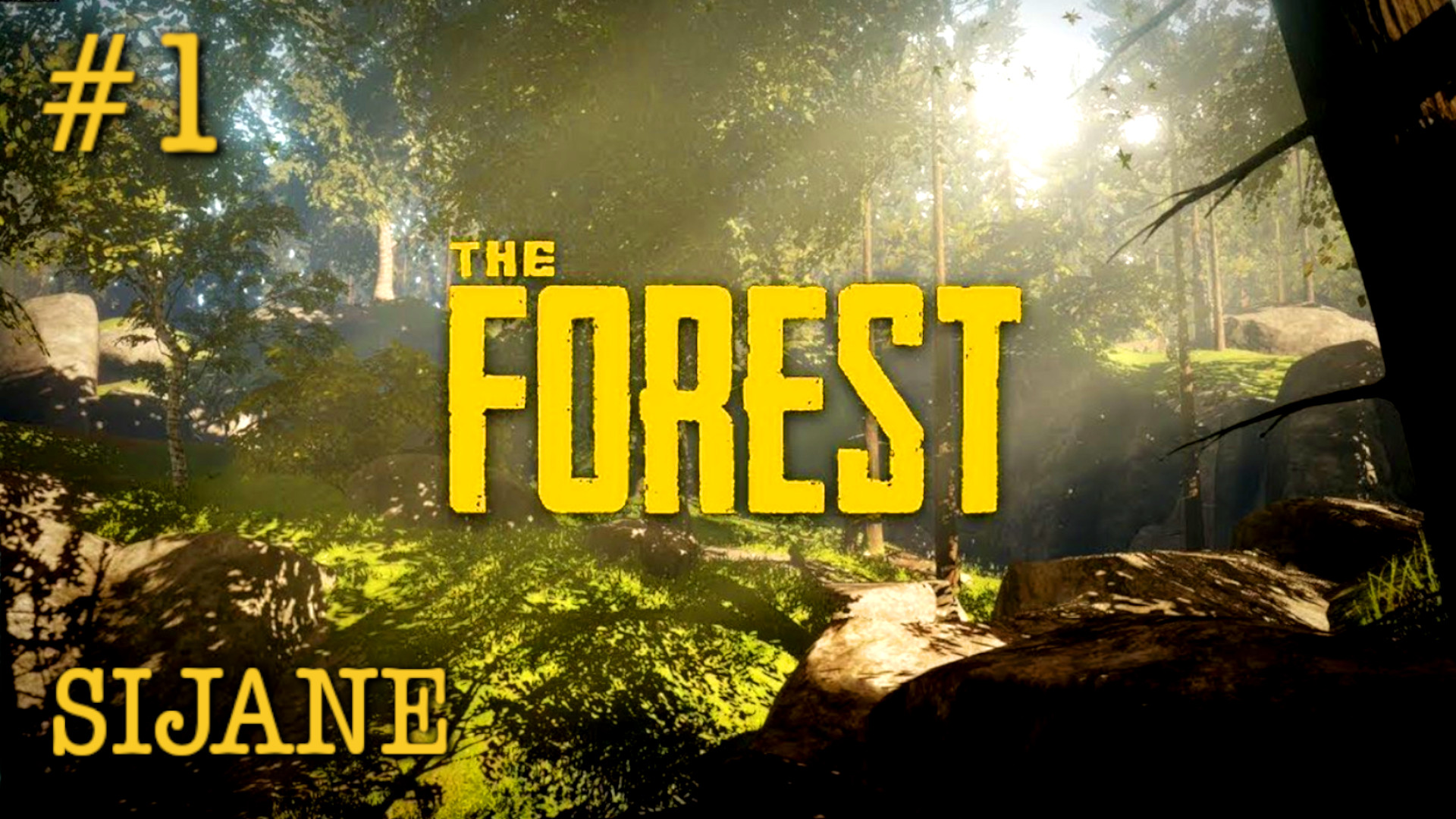 The Forest запись от 12 мая 2021