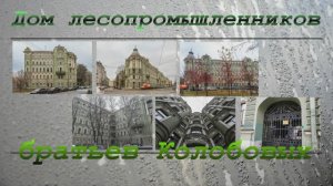 Мир особняков Санкт-Петербурга