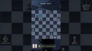 Шахматы - Chess #shorts