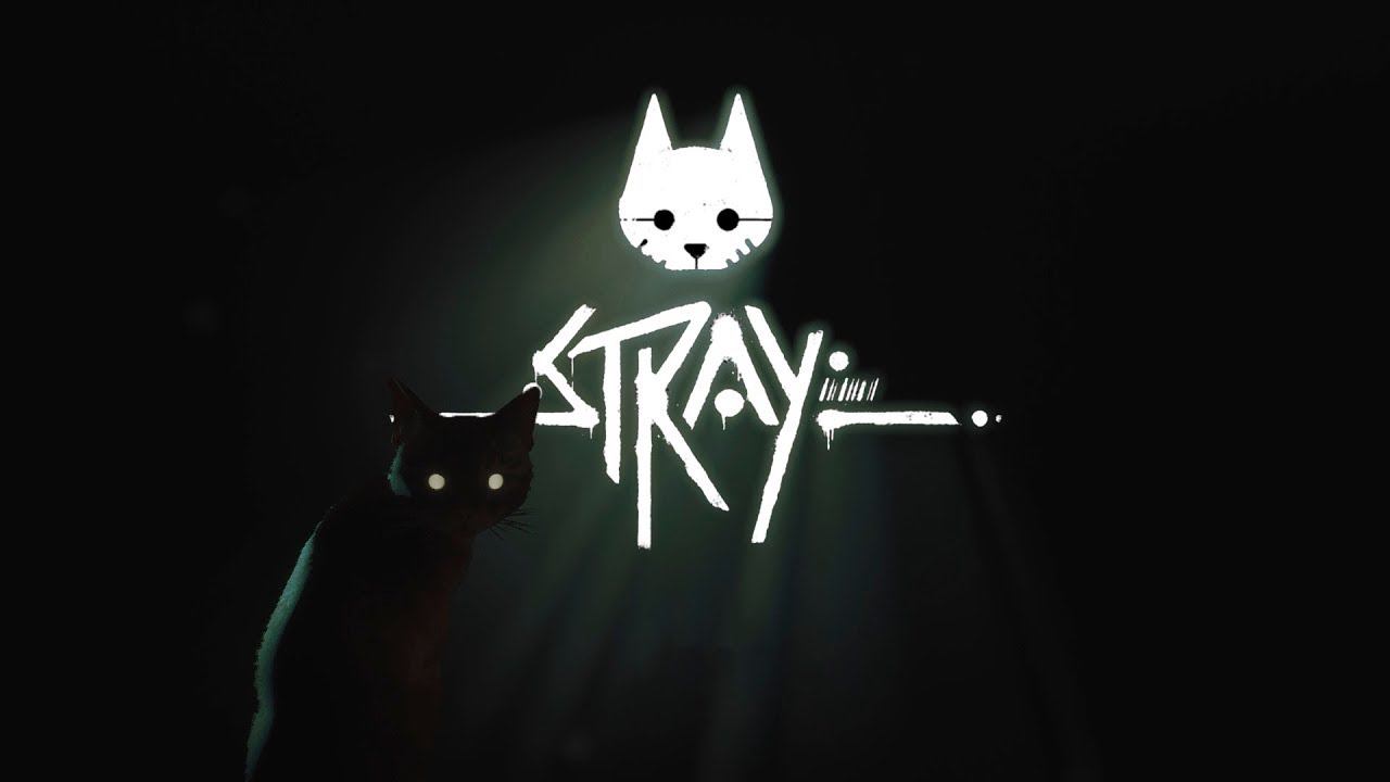 Stray