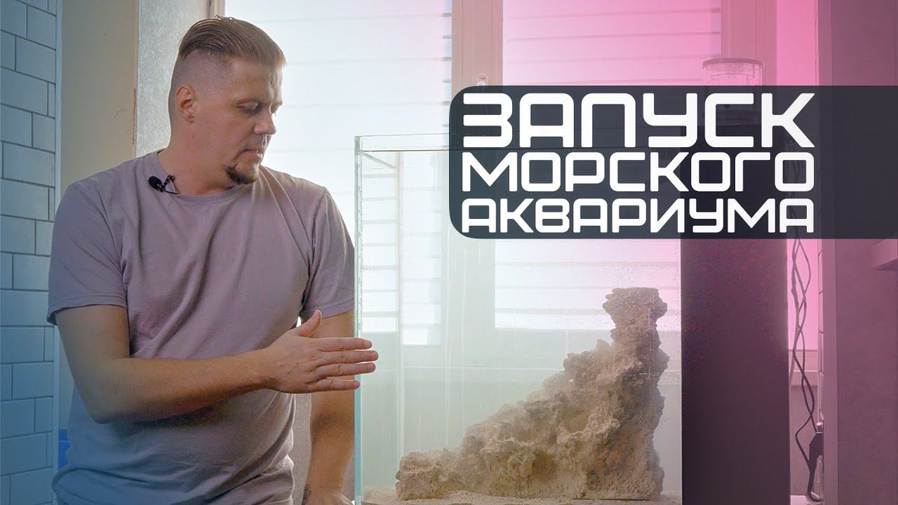 Морская аквариумистика