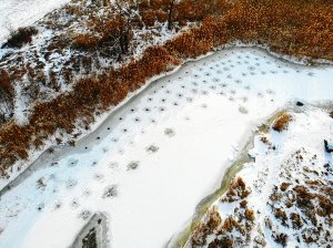 Поиски