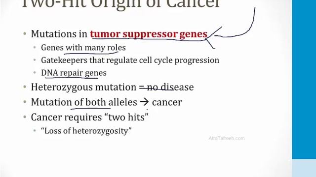 14/17 - ГЕНЕТИКА (для USMLE 2022): серия Boards &amp; Beyond - Genetics (STEP 1)