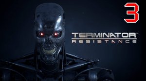 Terminator Resistance